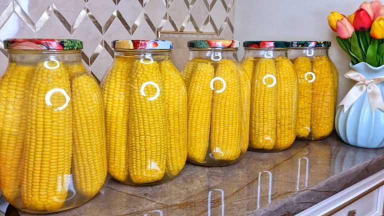 Nous mangeons du maïs tout l’hiver – il a le goût du maïs frais ...